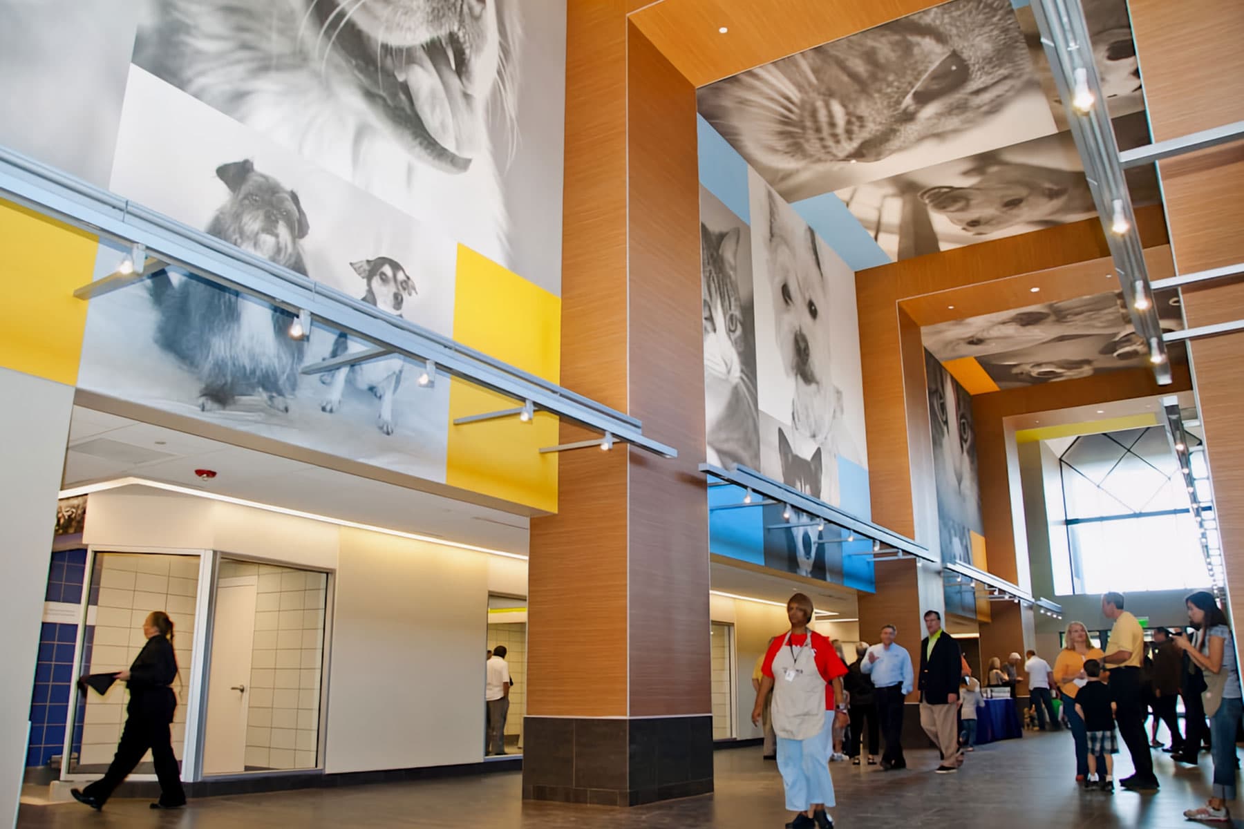 SPCA of Texas | Adoption Locations - SPCA of Texas