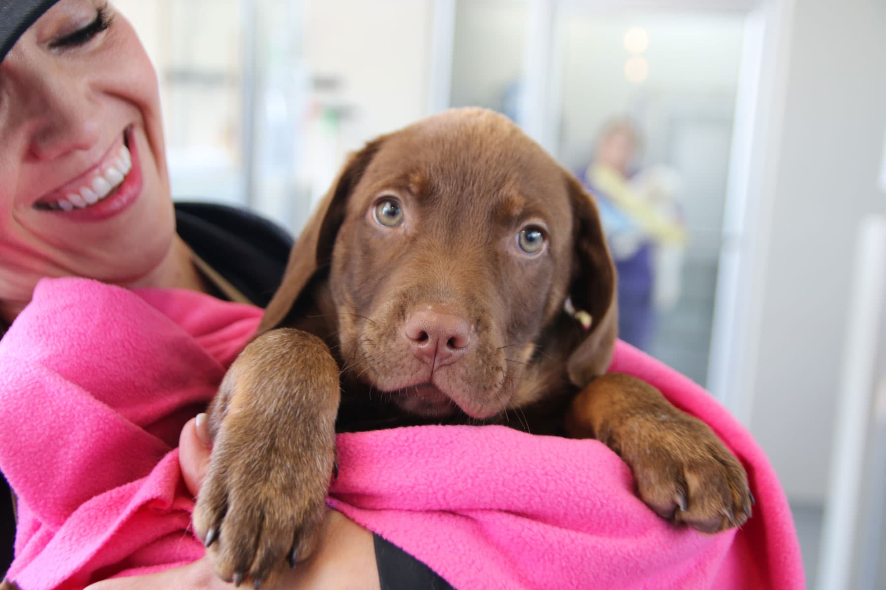 SPCA of Texas | The leading animal welfare agency in North Texas