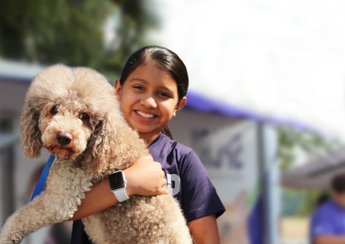 SPCA of Texas | The leading animal welfare agency in North Texas