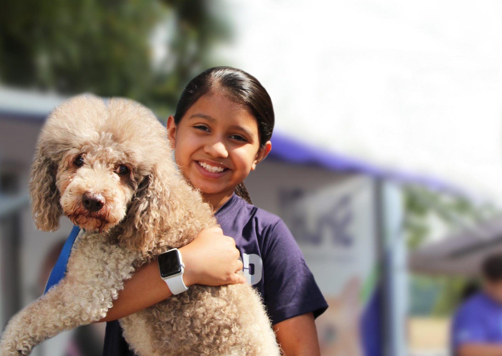 SPCA of Texas | The leading animal welfare agency in North Texas