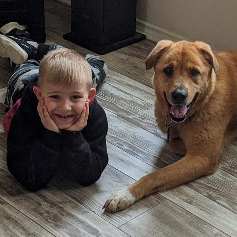 SPCA of Texas | Be a Foster Hero - SPCA of Texas