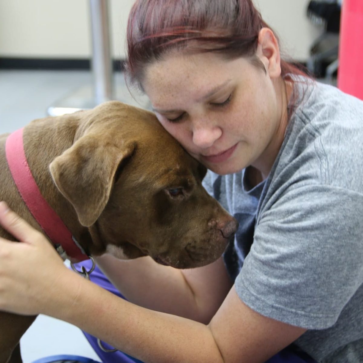 SPCA of Texas | Be a Foster Hero - SPCA of Texas