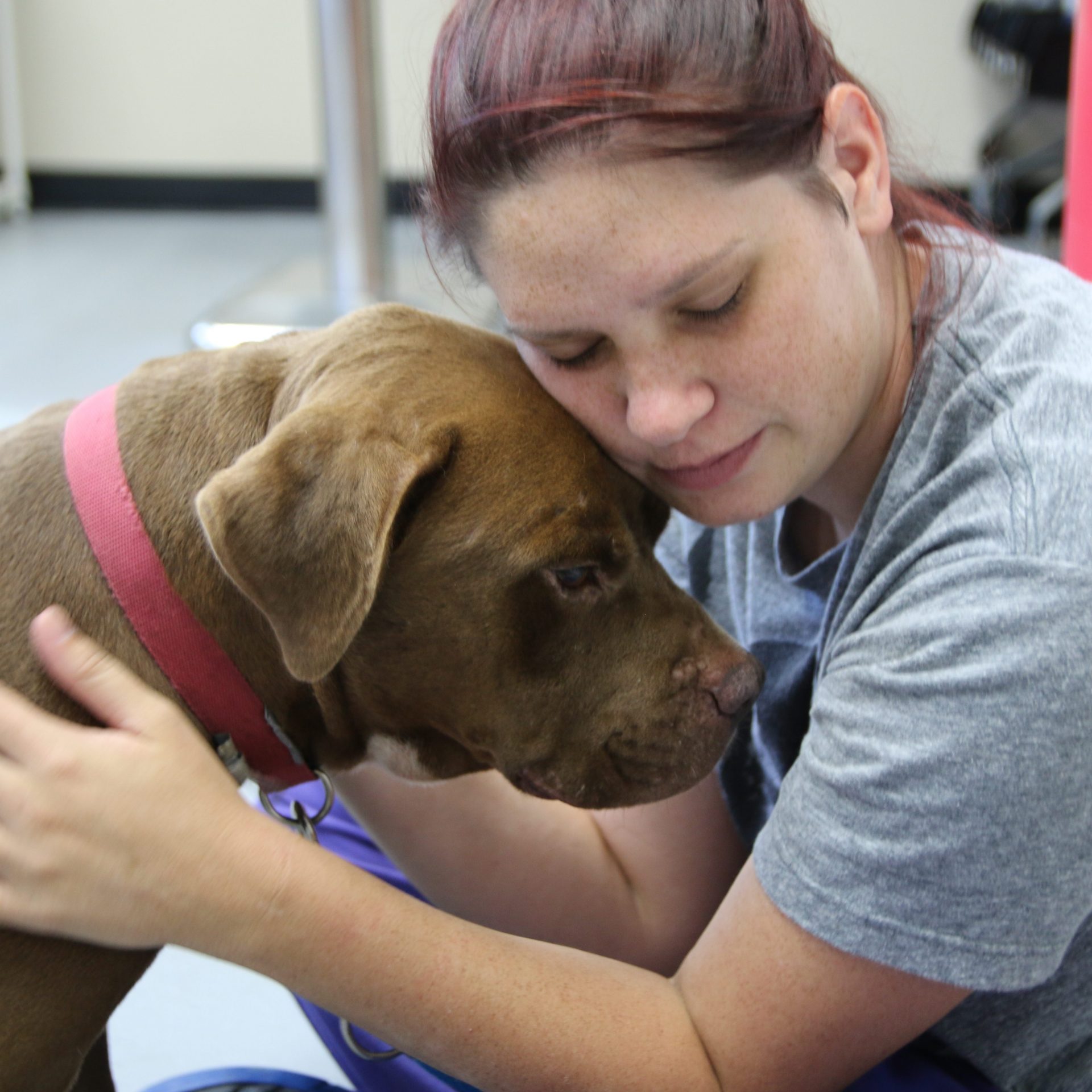 SPCA of Texas | Support to Keep Your Pet - SPCA of Texas