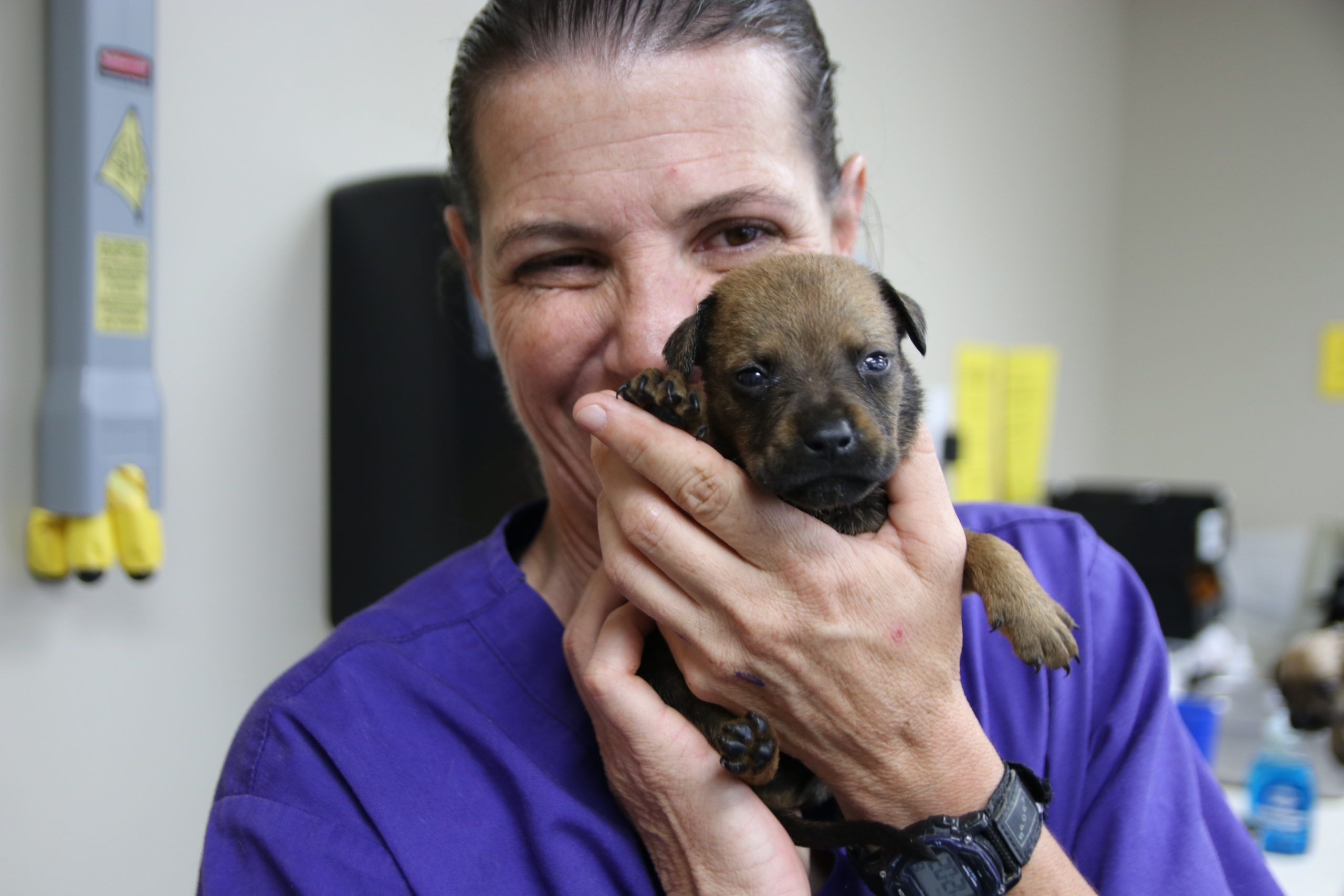 SPCA Of Texas Paws Cause SPCA Of Texas