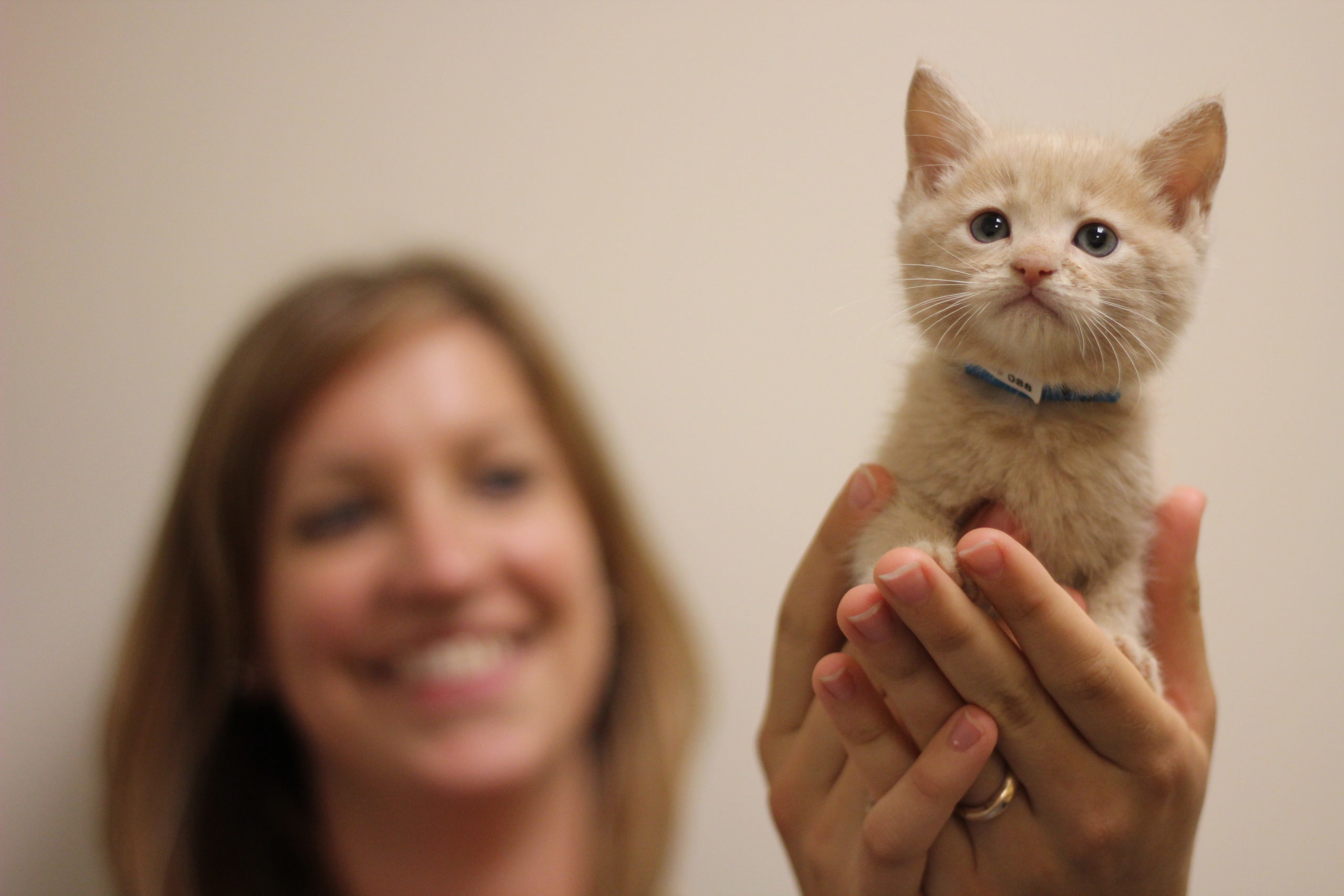SPCA of Texas | Submit Foster Facts - SPCA of Texas