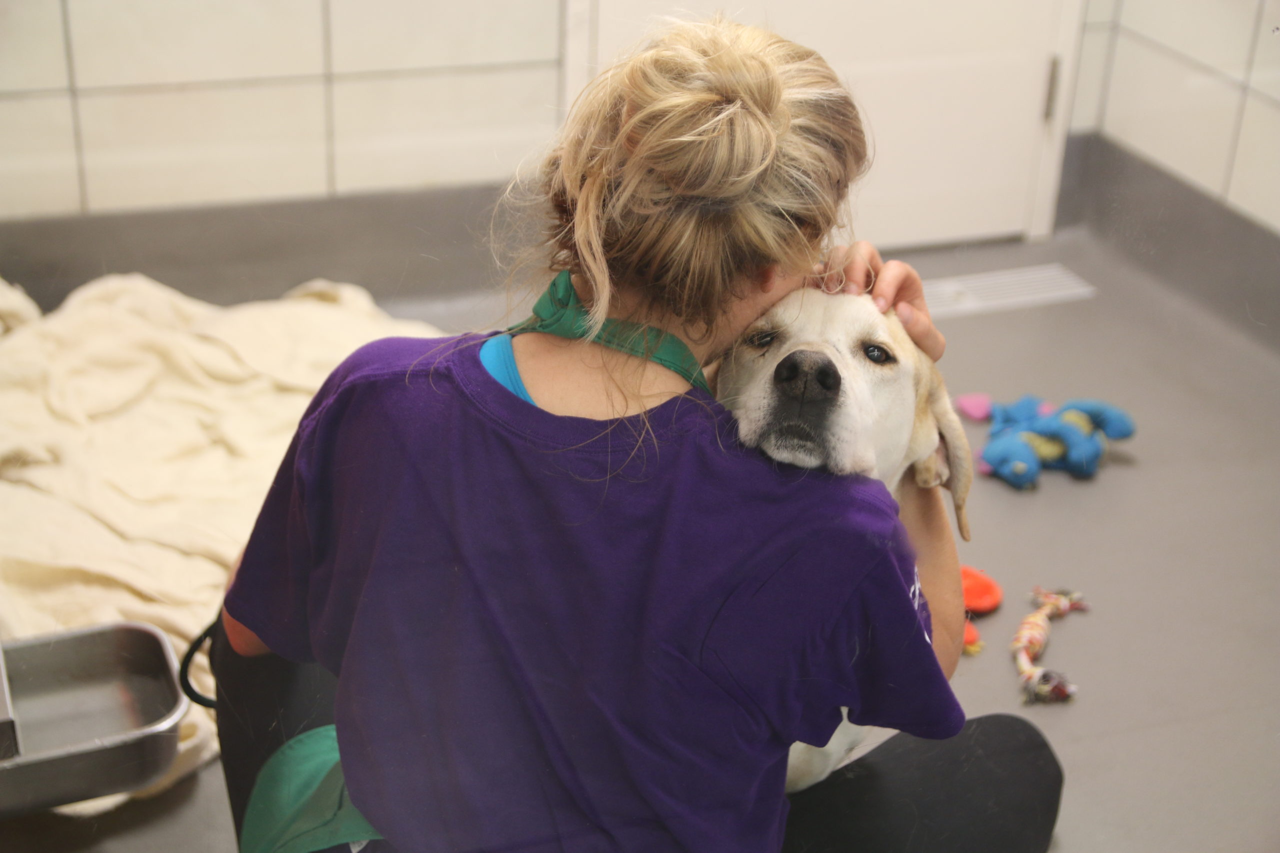 SPCA of Texas | Be a Foster Hero - SPCA of Texas