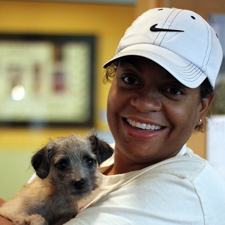 SPCA of Texas | Support to Keep Your Pet - SPCA of Texas