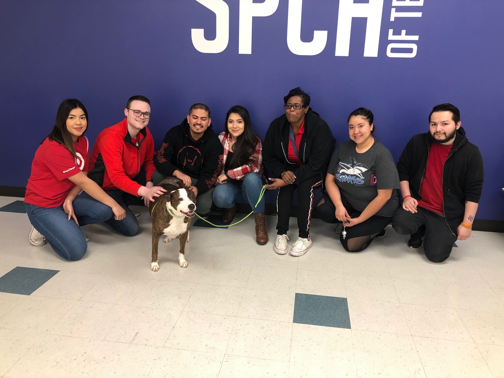 SPCA of Texas | Group Experience Program - SPCA of Texas