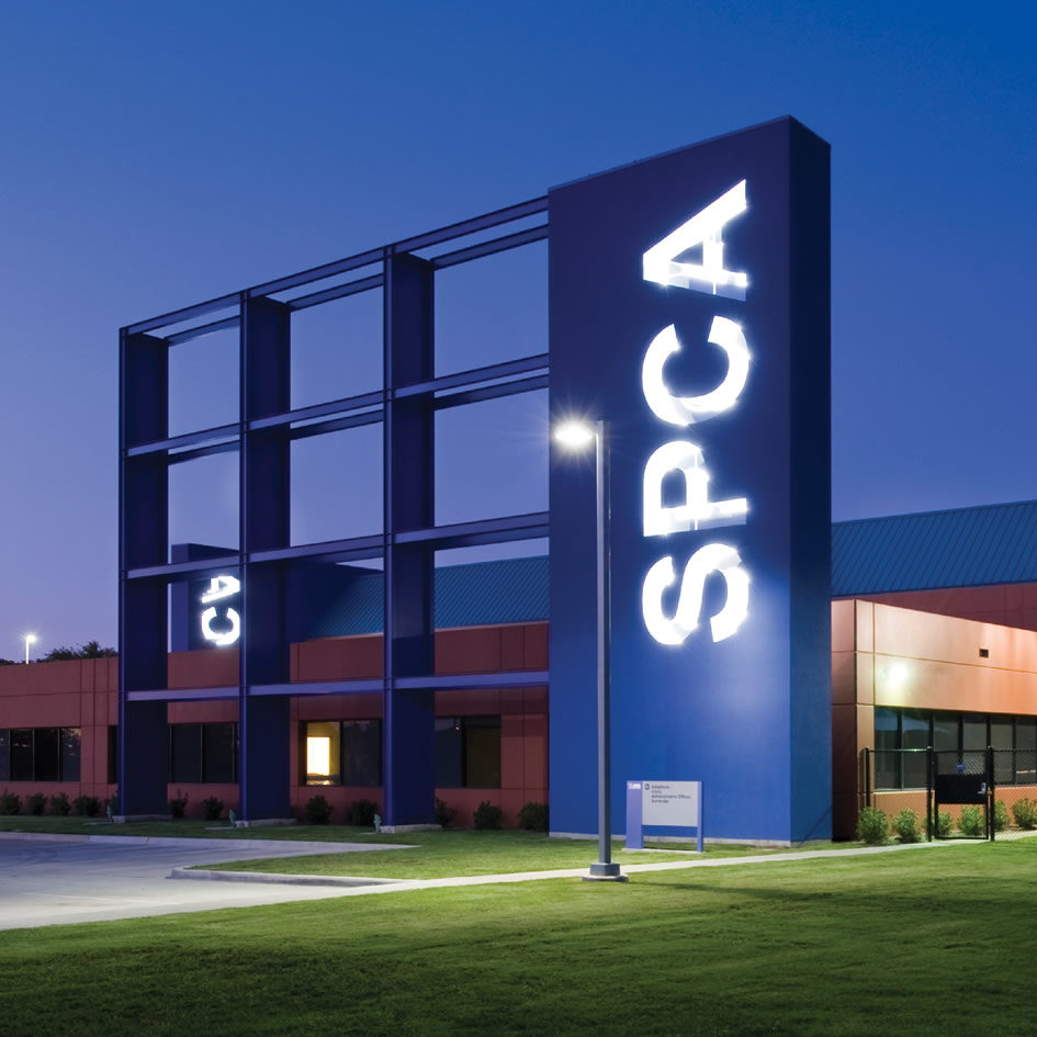 SPCA of Texas | Find a Pet - SPCA of Texas