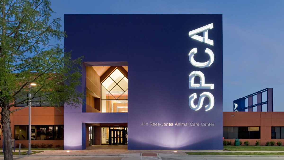SPCA of Texas | About Us - SPCA of Texas
