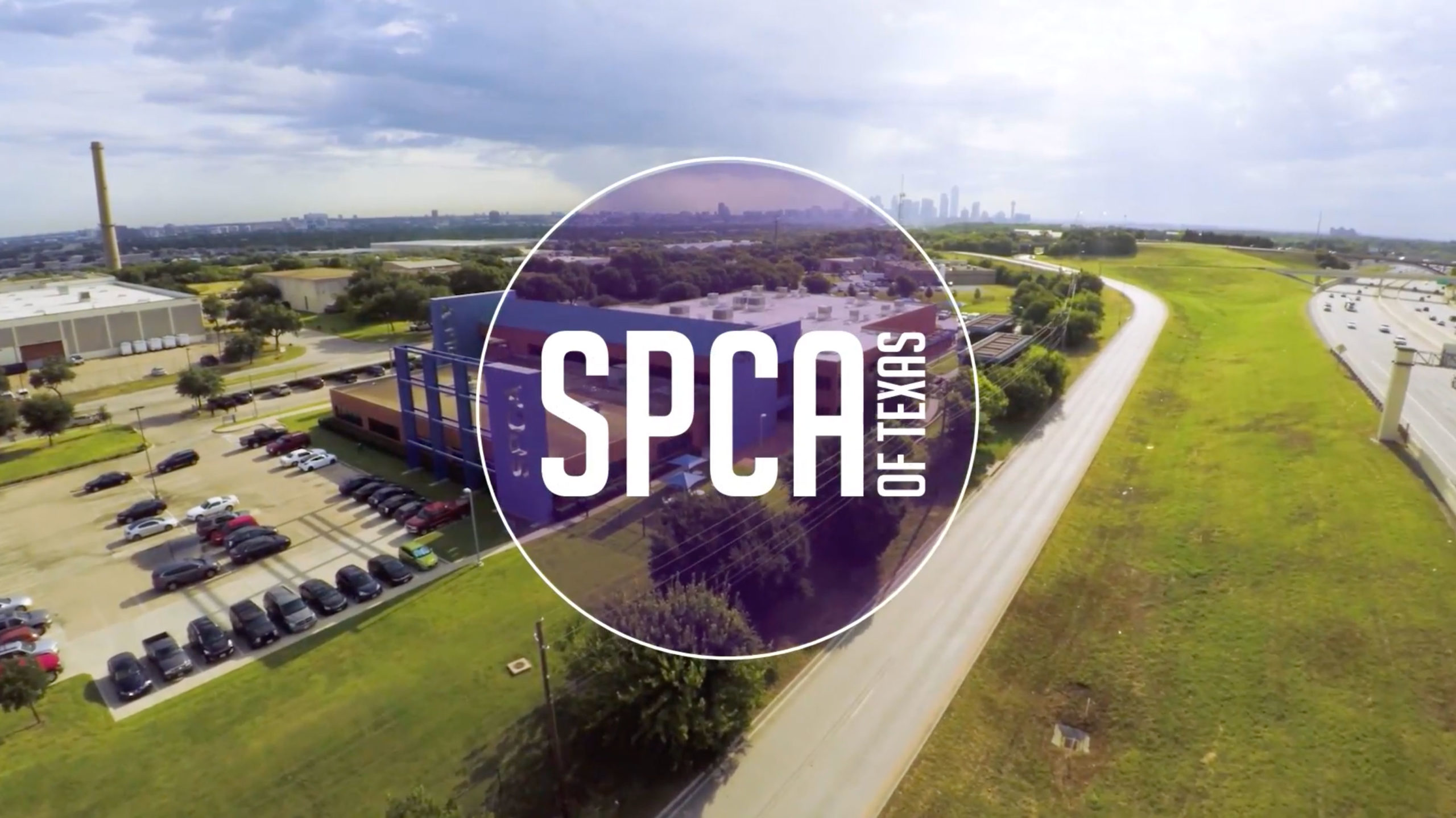 SPCA of Texas | About Us - SPCA of Texas