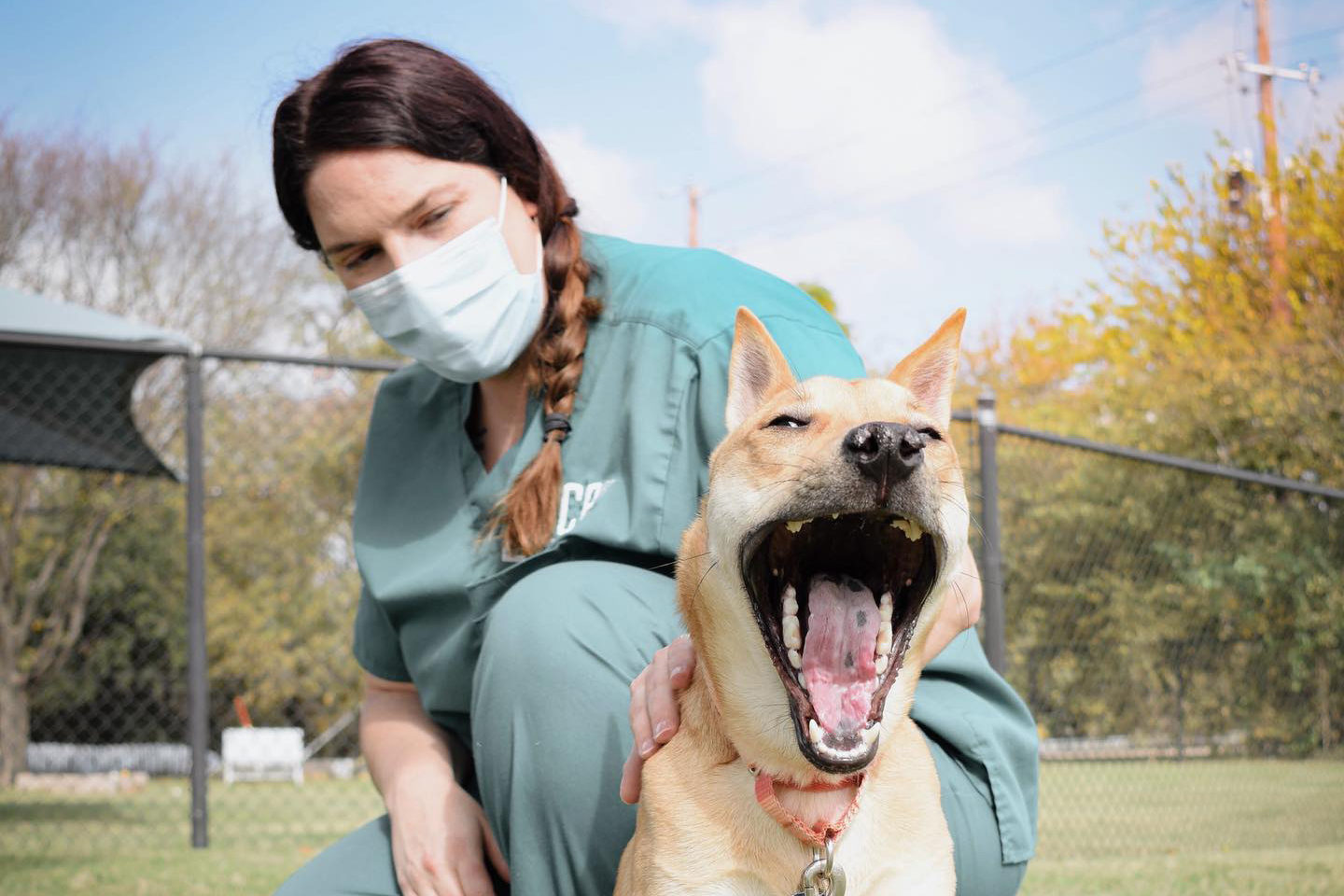 SPCA of Texas | Request Behavior Assistance - SPCA of Texas