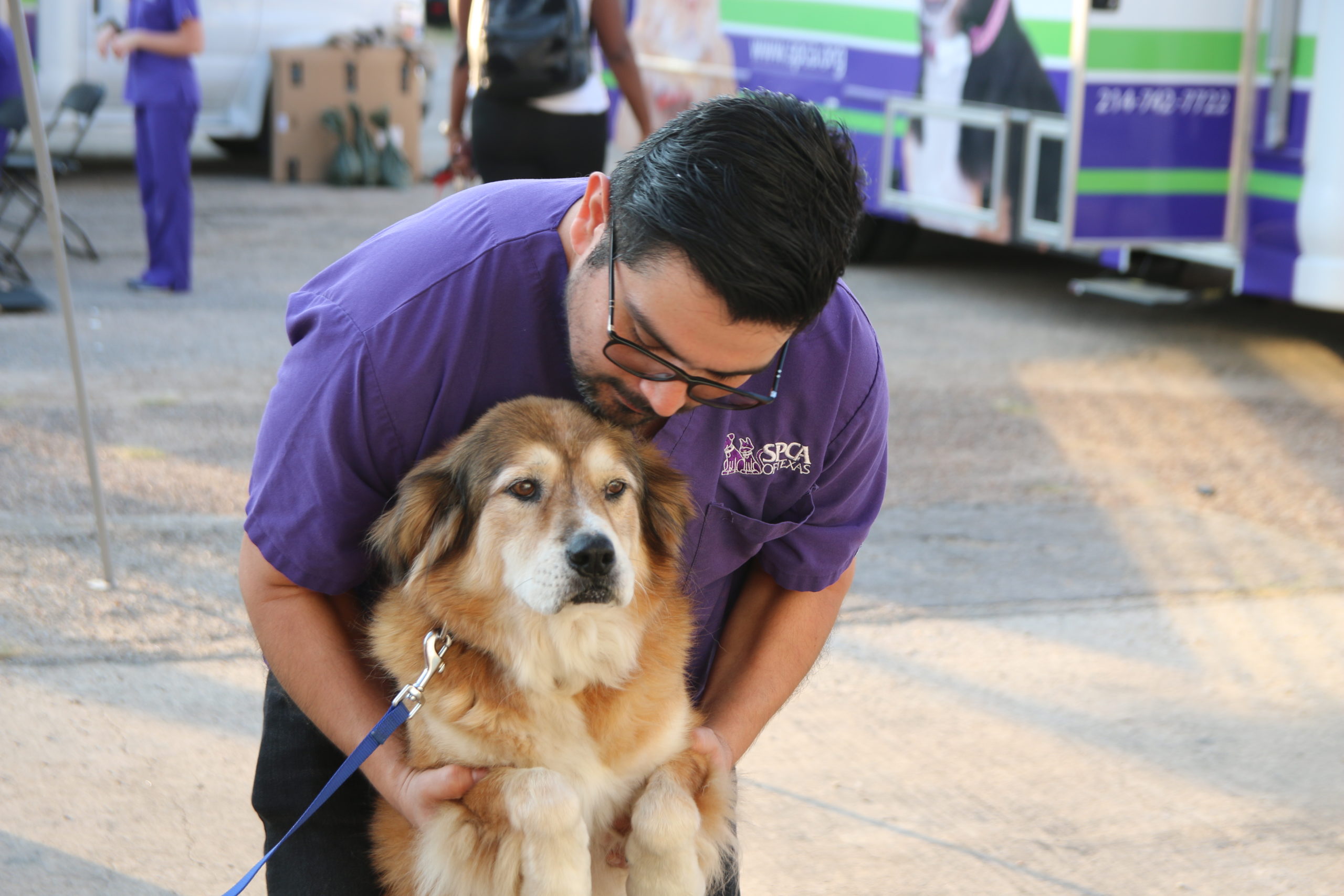 SPCA of Texas | Public Sector Campaigns - SPCA of Texas