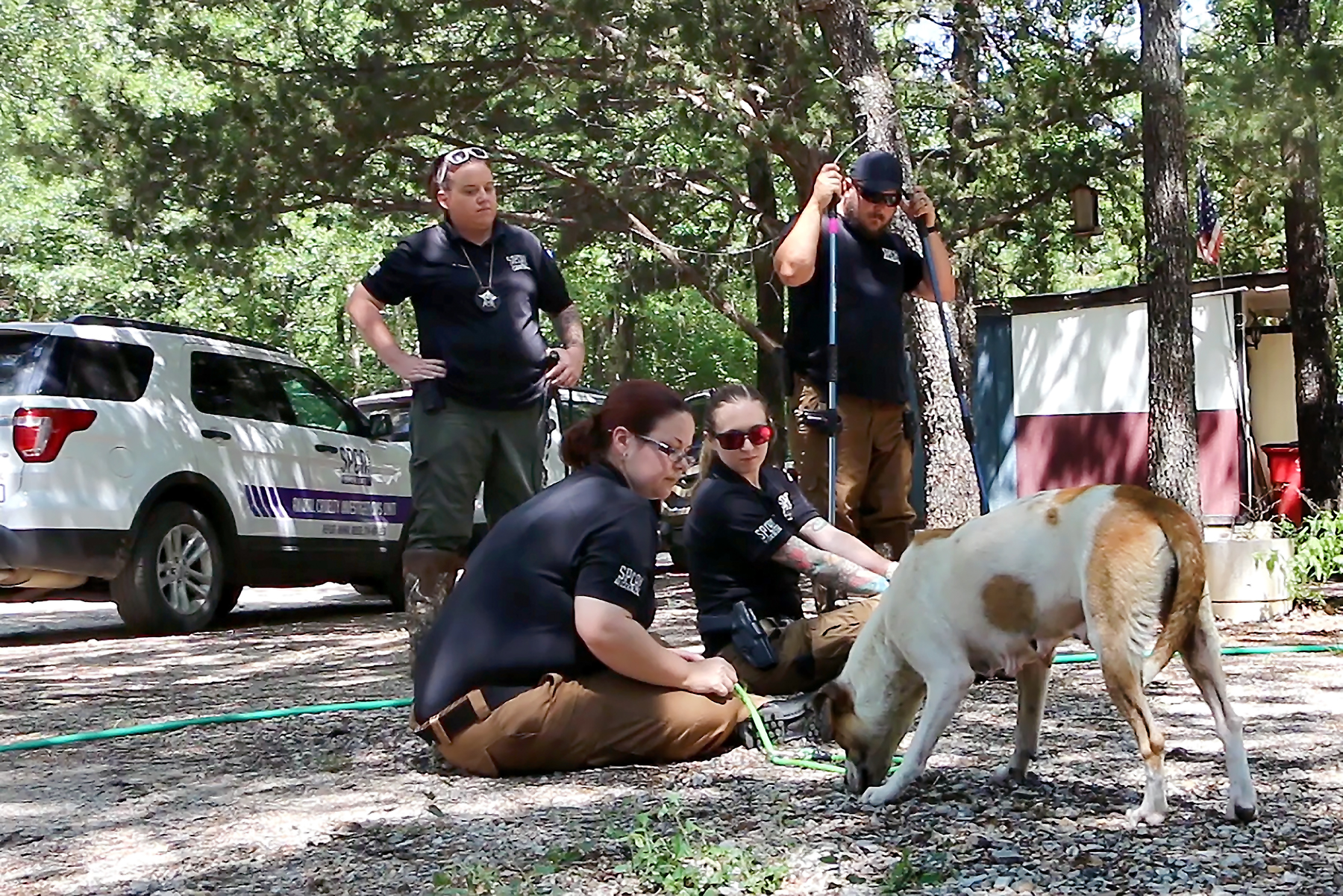 SPCA of Texas | Preventing Animal Cruelty - How You Can Make A ...