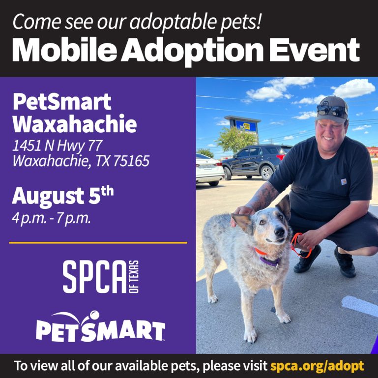 SPCA of Texas | Adoption Events - SPCA of Texas