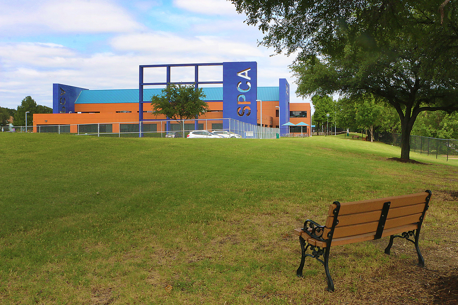 SPCA of Texas | A Beacon of Hope for Animals in Need - SPCA of Texas