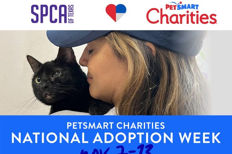 SPCA of Texas | SPCA of Texas Connects Adoptable Pets with Loving Homes ...