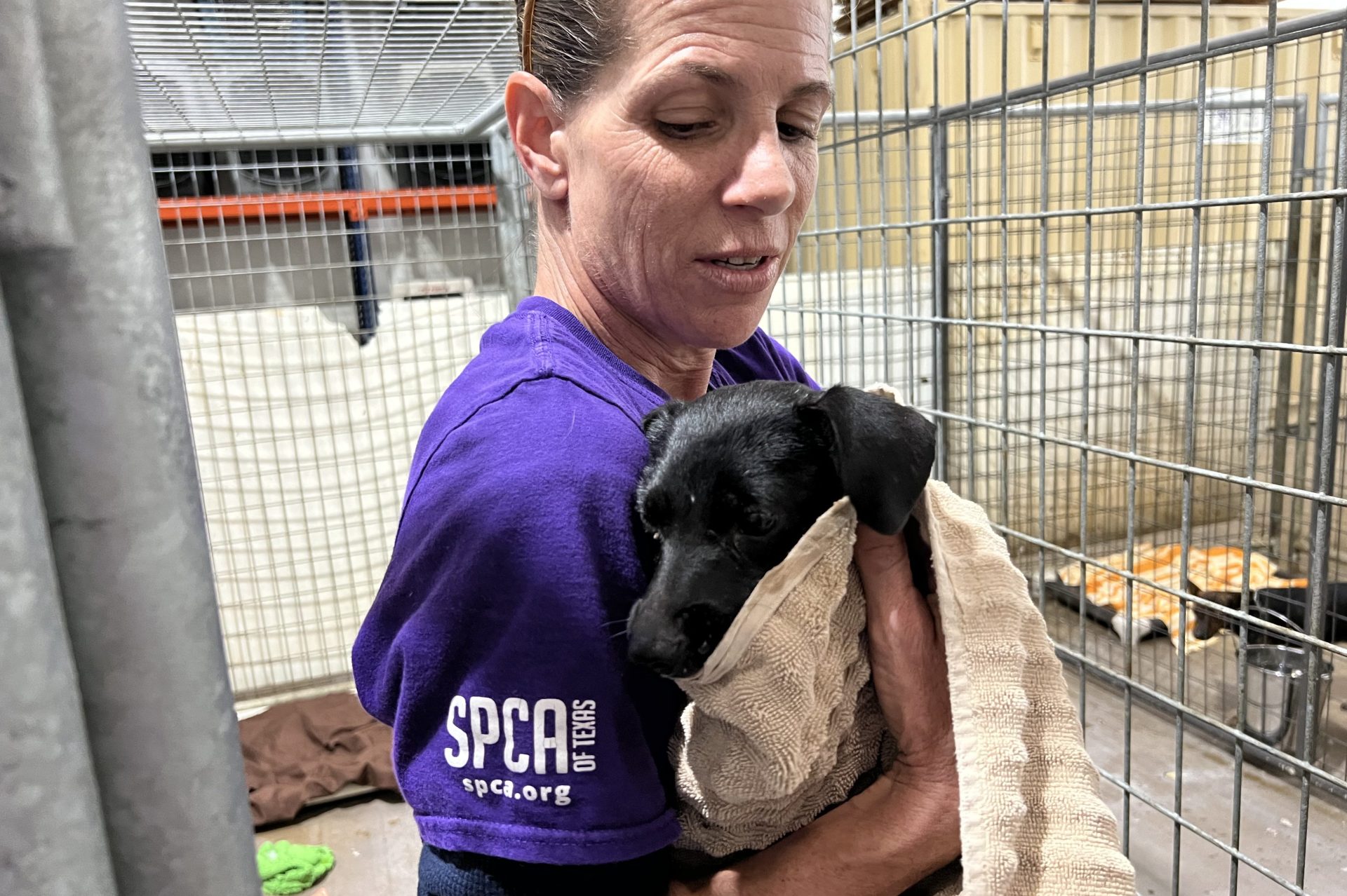 SPCA of Texas | SPCA of Texas Removes 18 Allegedly Abandoned Animals ...