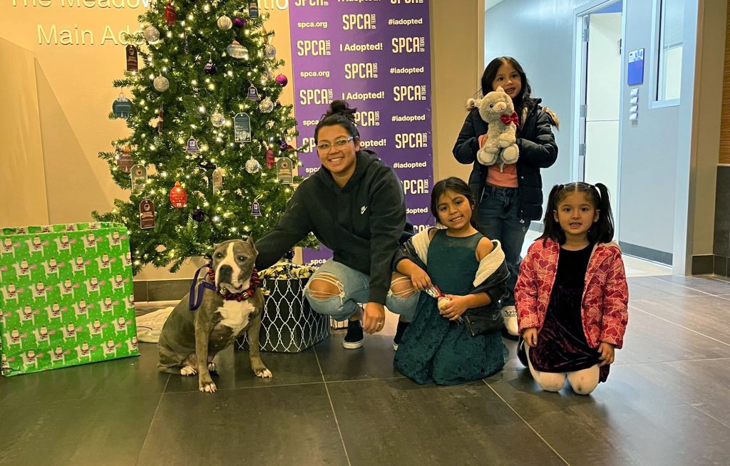 SPCA of Texas | Share Your Adoption Love Story - SPCA of Texas