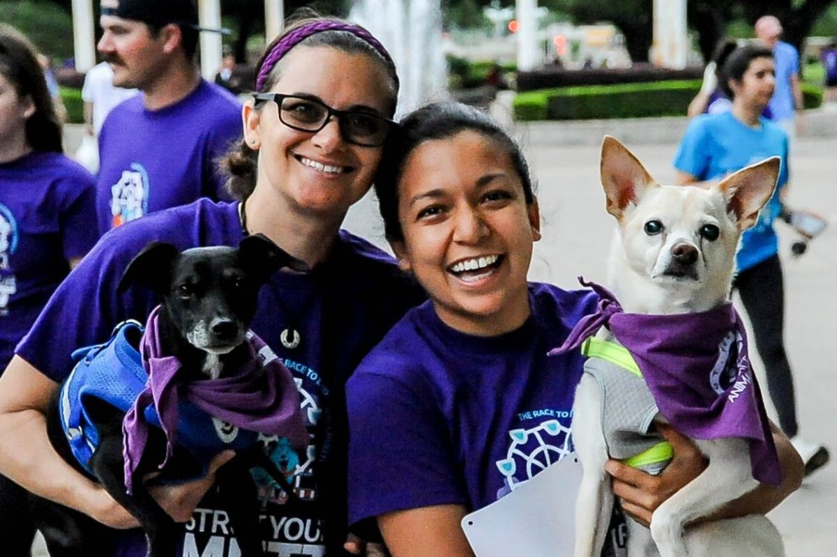 SPCA of Texas | SPCA of Texas Announces 18th Annual Strut Your Mutt ...