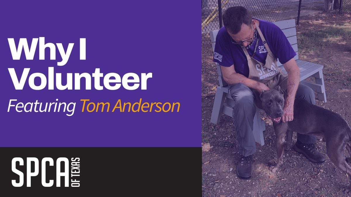 SPCA of Texas | Meet our Volunteers - SPCA of Texas