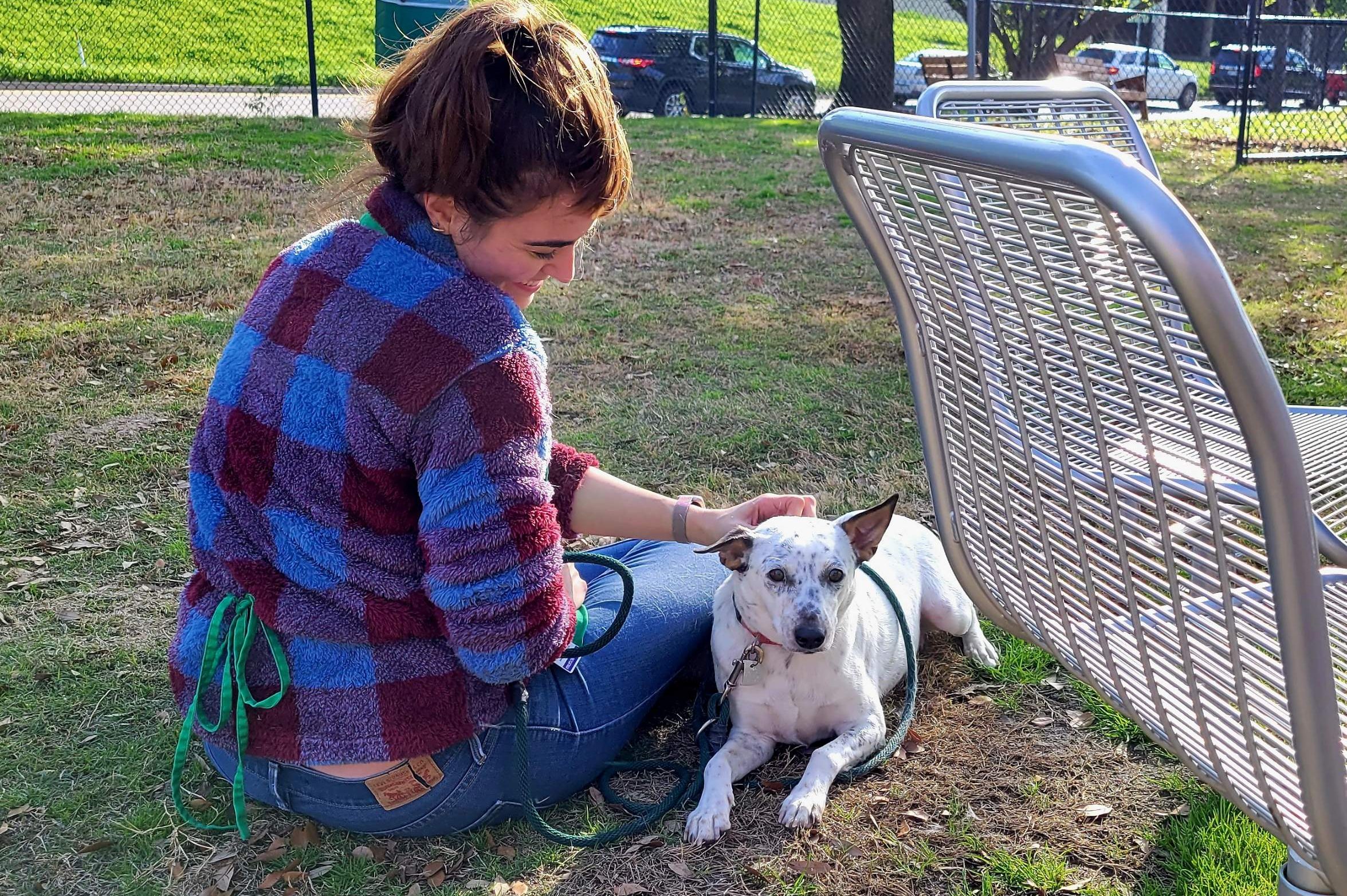 SPCA of Texas | Dasher - foster needed now thru June - SPCA of Texas