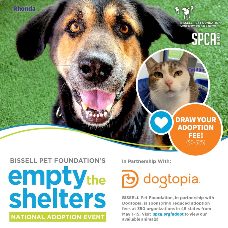 SPCA of Texas | Bissell Pet Foundation’s Empty the Shelters - SPCA of Texas
