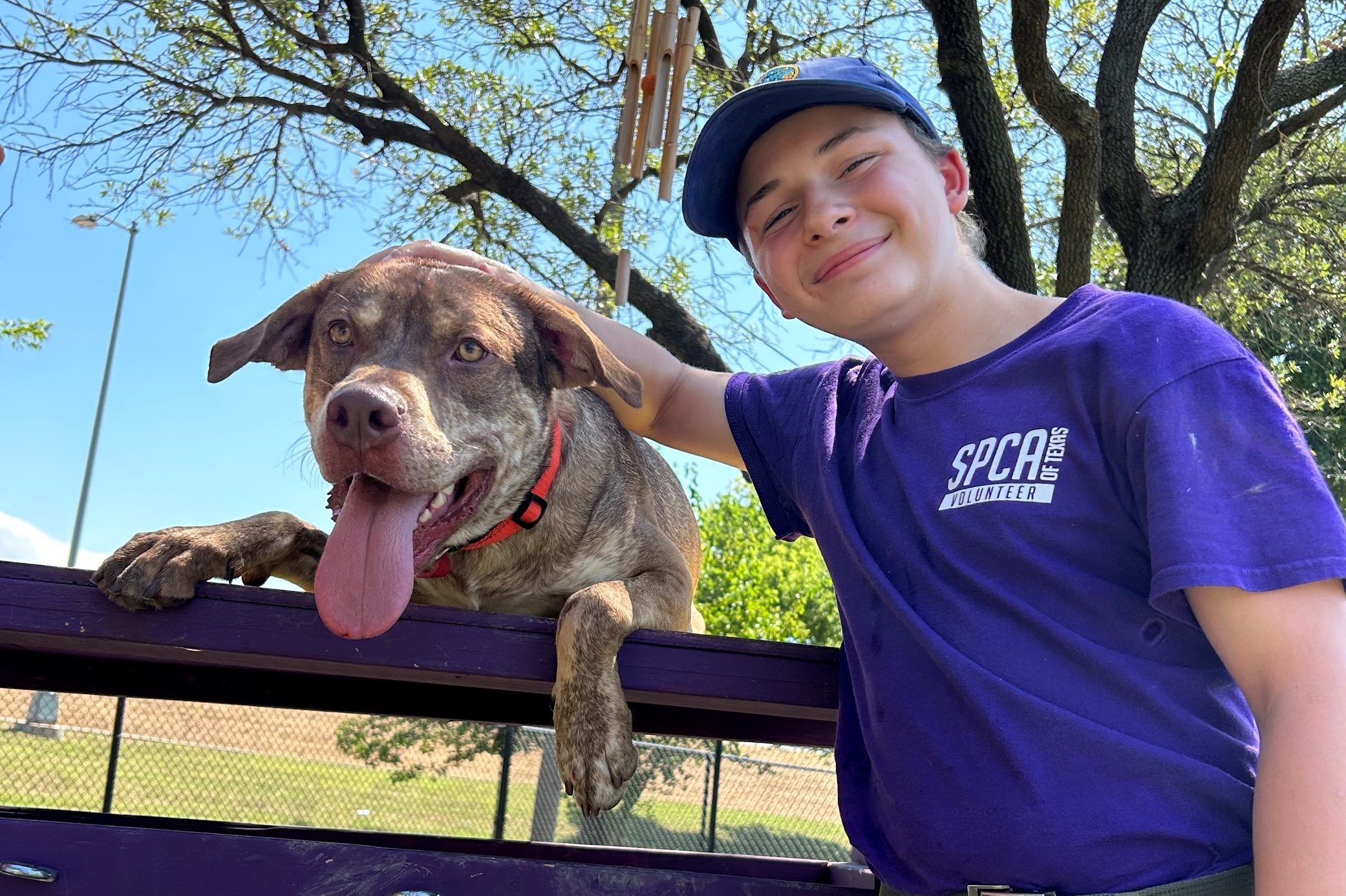SPCA of Texas | July Volunteer Finds Happiness in Helping Others - SPCA ...