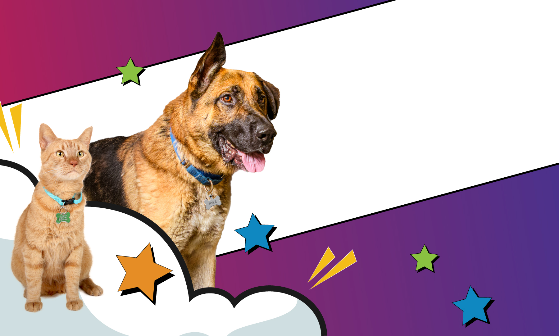 SPCA of Texas | The leading animal welfare agency in North Texas