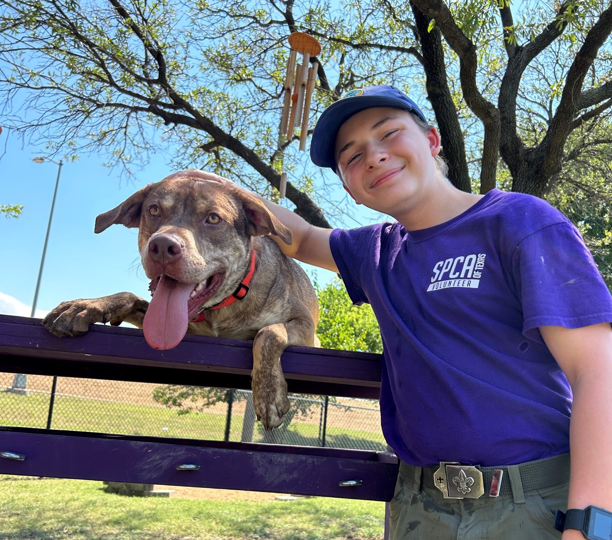 SPCA of Texas | July Volunteer Finds Happiness in Helping Others - SPCA ...