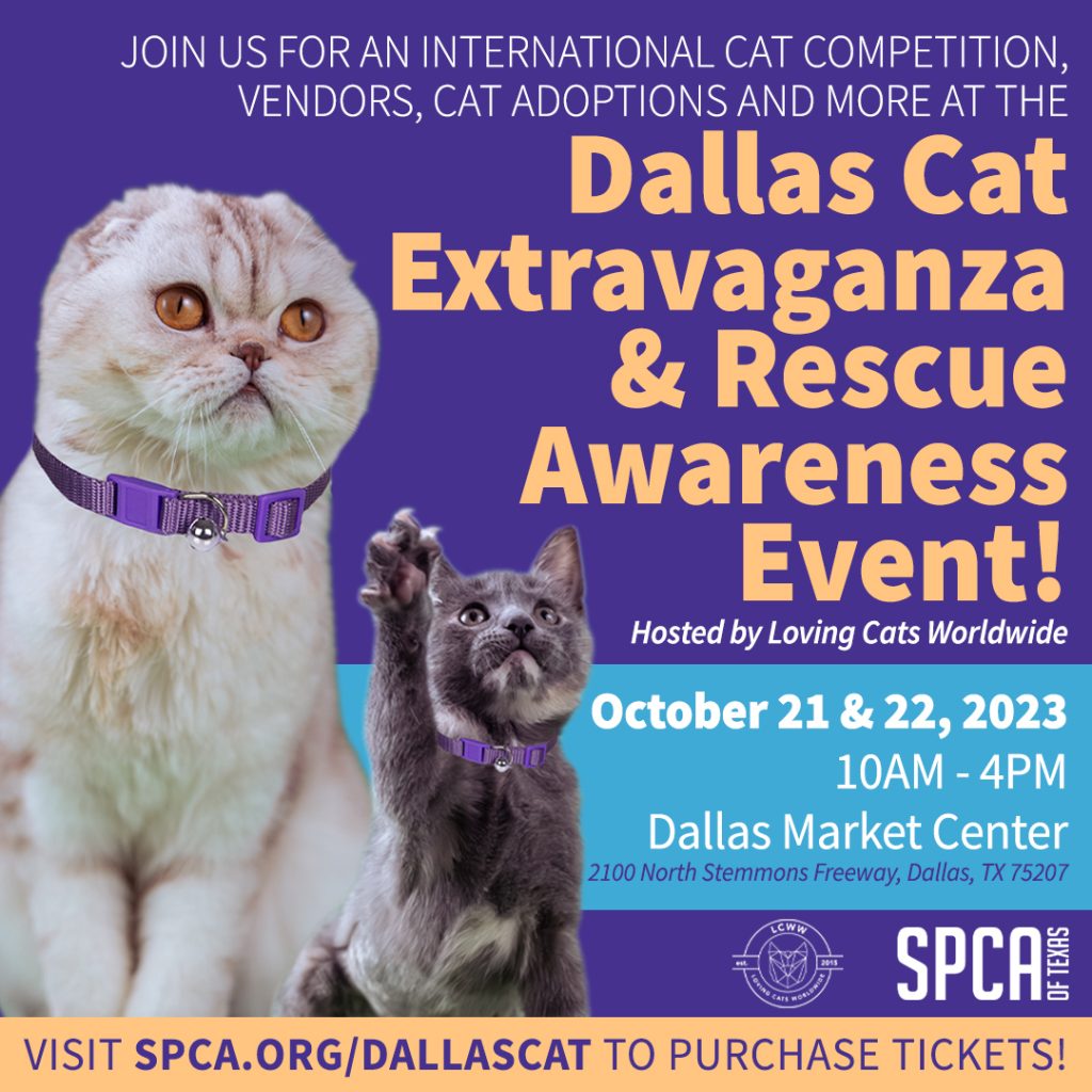 SPCA of Texas | Mobile Adoptions at the Dallas Cat Extravaganza ...