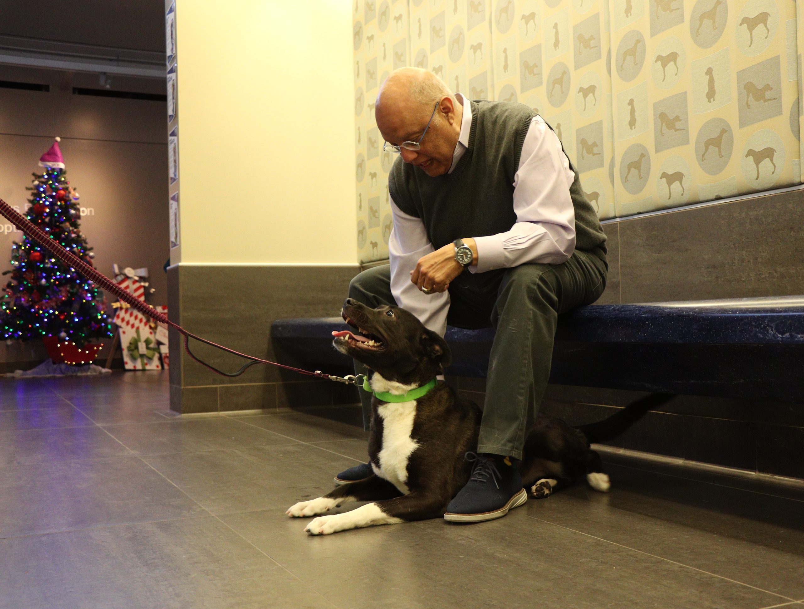 SPCA of Texas | New President & CEO Brings Love of Animals to Community ...