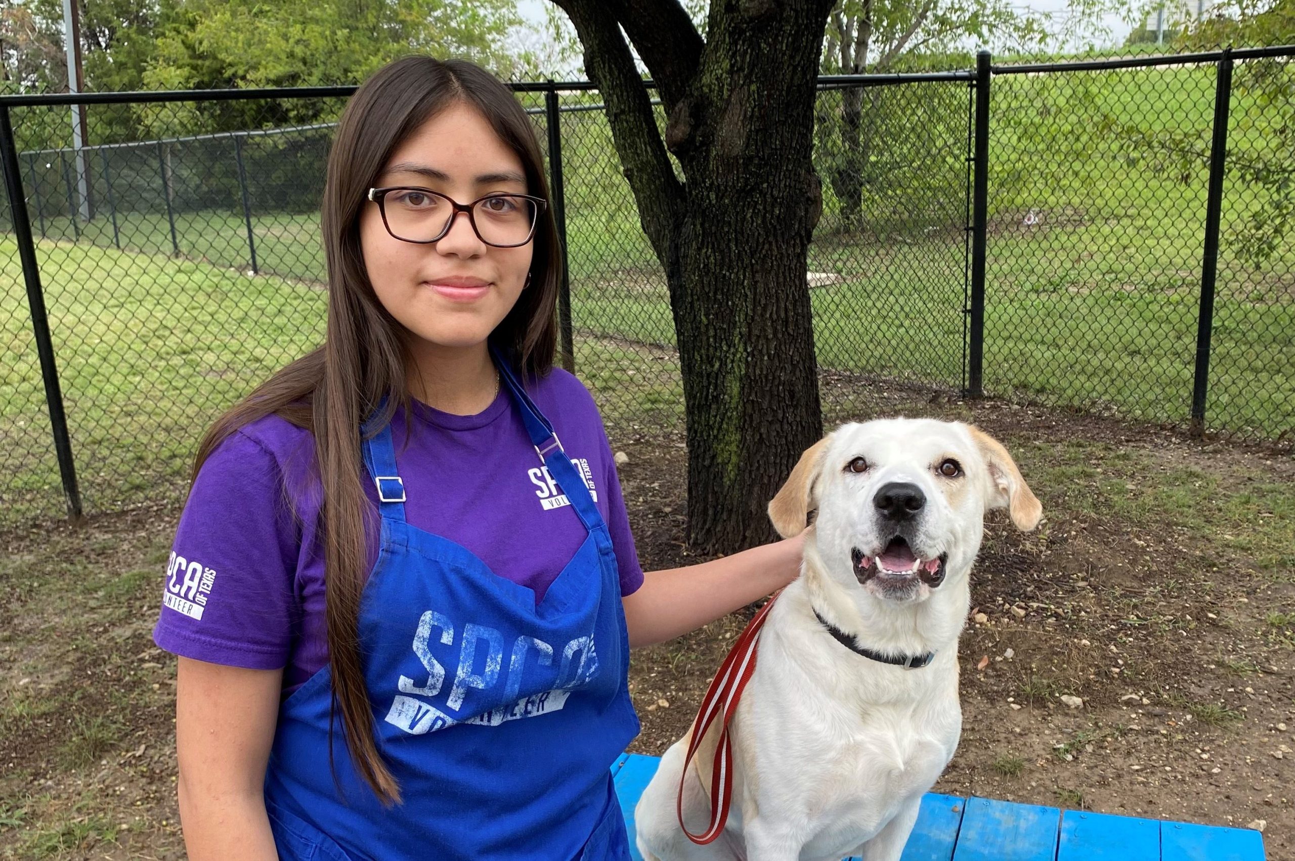 SPCA of Texas | Cindy Flores Really Fits In as November Volunteer of ...