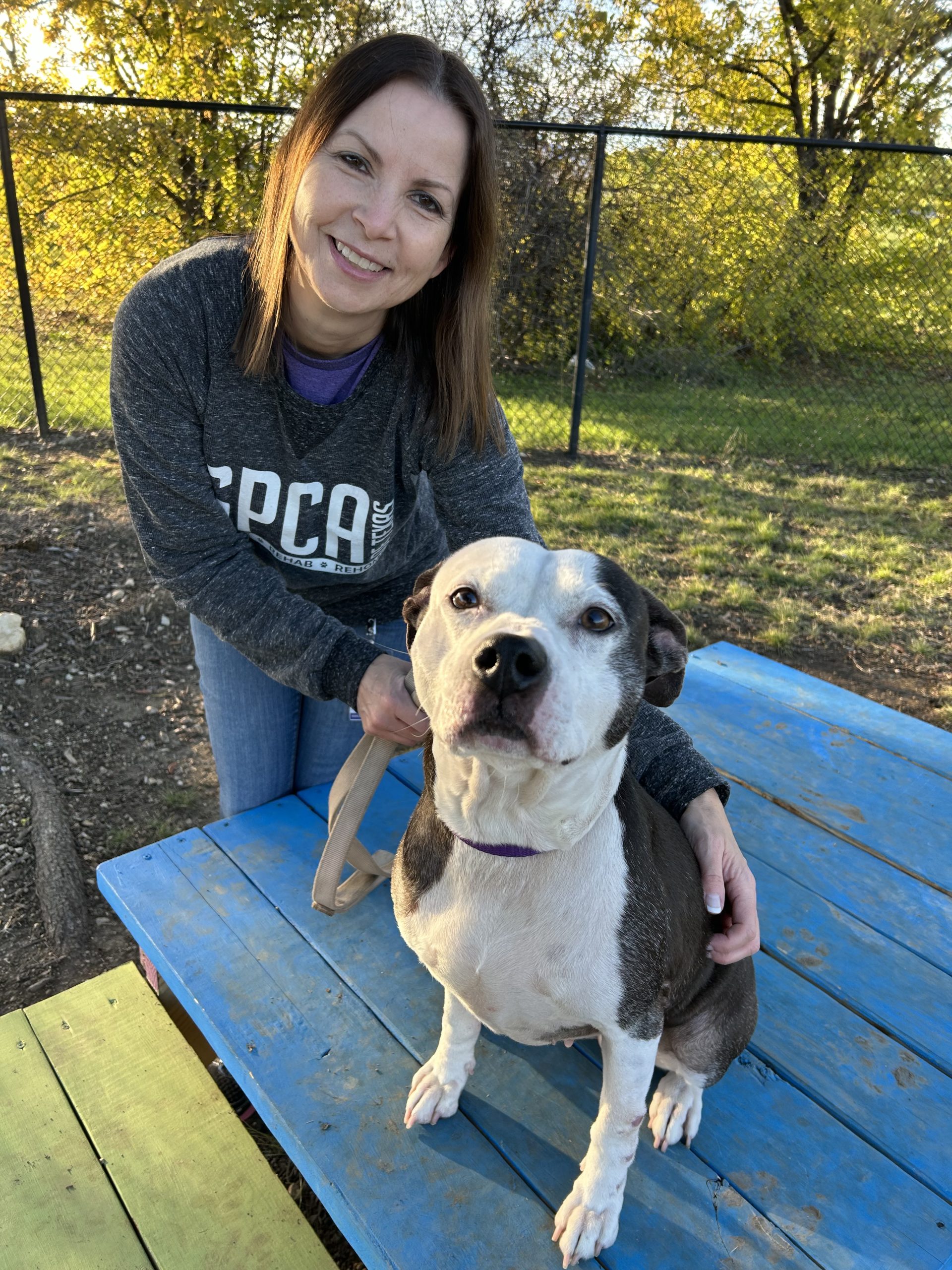 SPCA of Texas | Join Us 2 - SPCA of Texas
