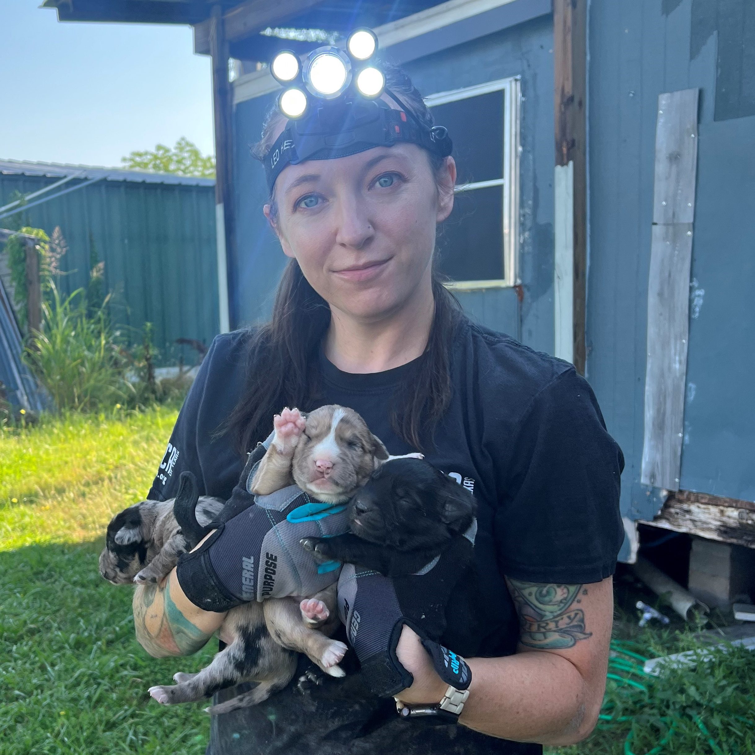 SPCA of Texas | About Us - SPCA of Texas