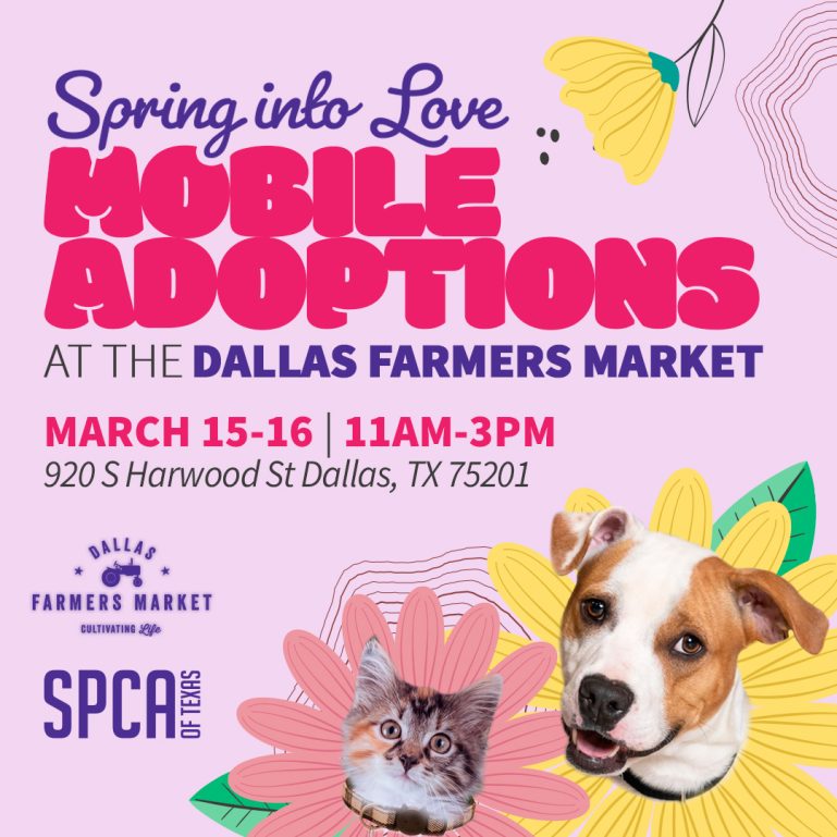 SPCA of Texas | Spring Break Mobile Adoptions at the Dallas Farmers ...