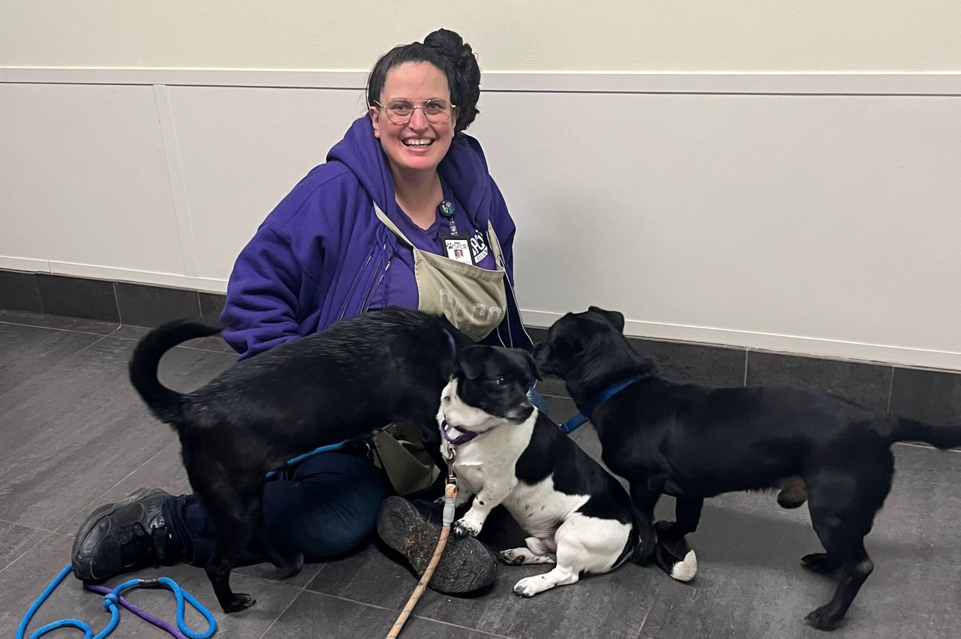 SPCA of Texas | What's New - SPCA of Texas