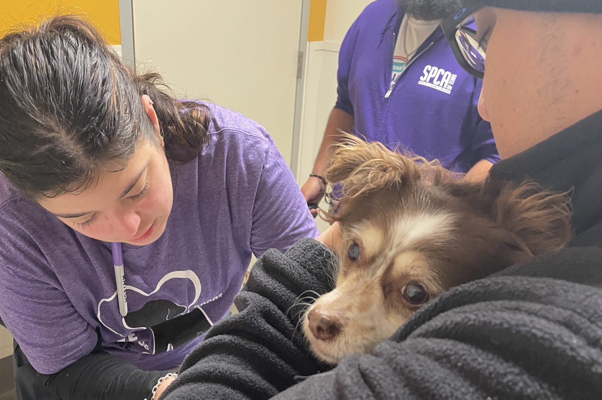 SPCA of Texas | SPCA of Texas and Ellis County Sheriff’s Office Offer ...