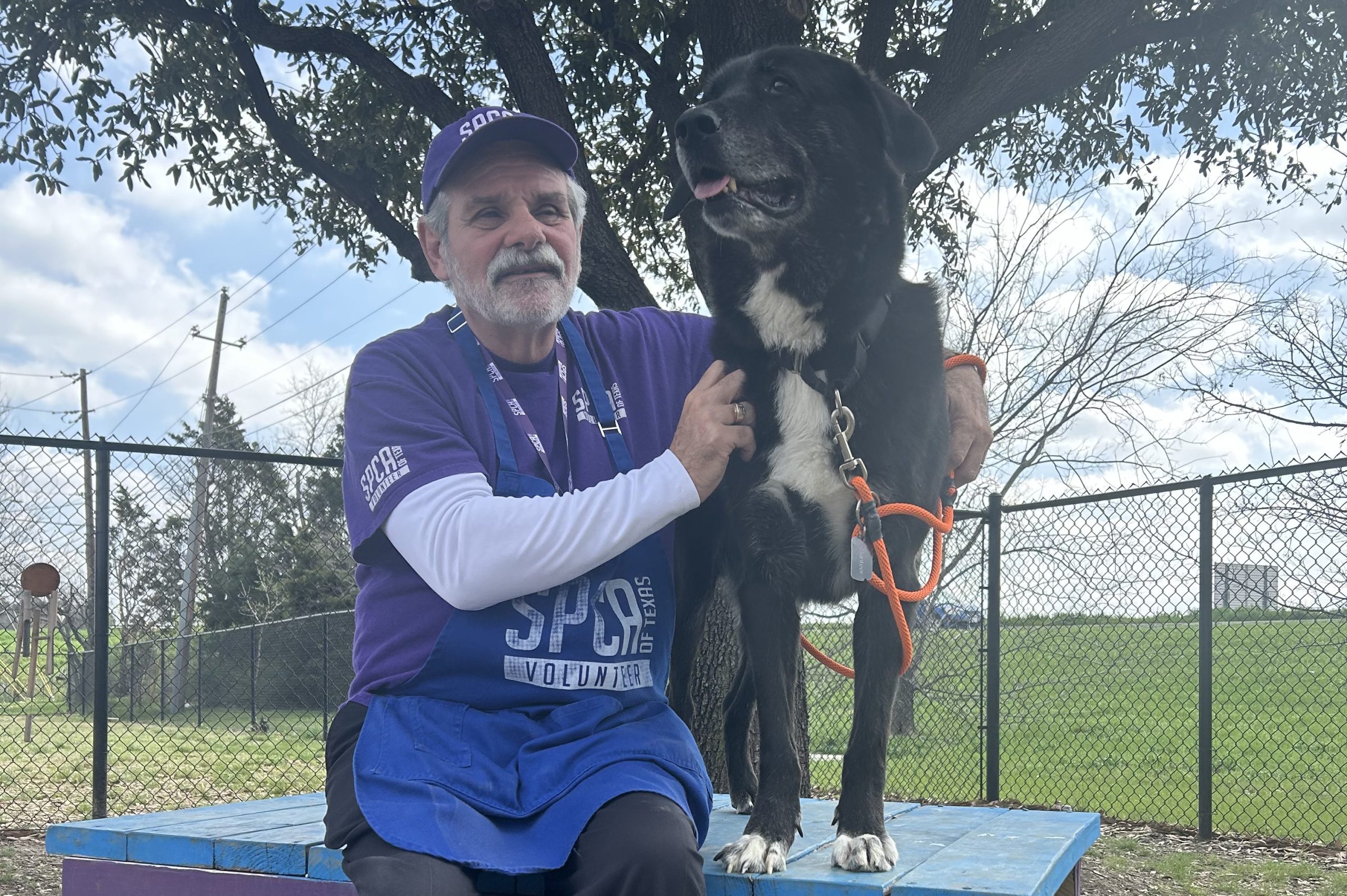 SPCA of Texas | What's New - SPCA of Texas