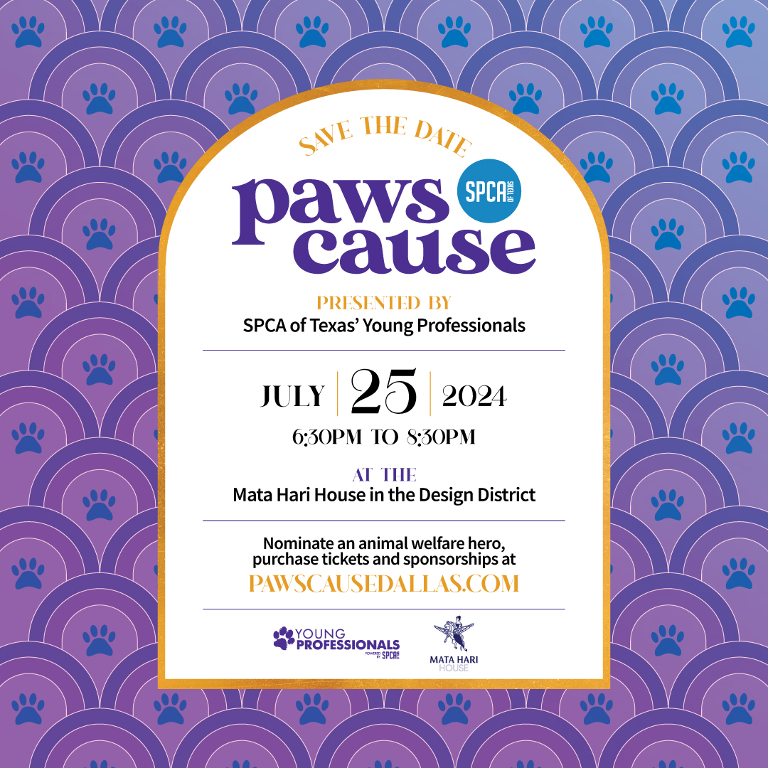 SPCA of Texas | SPCA of Texas Young Professionals Host Paws Cause 2024 ...