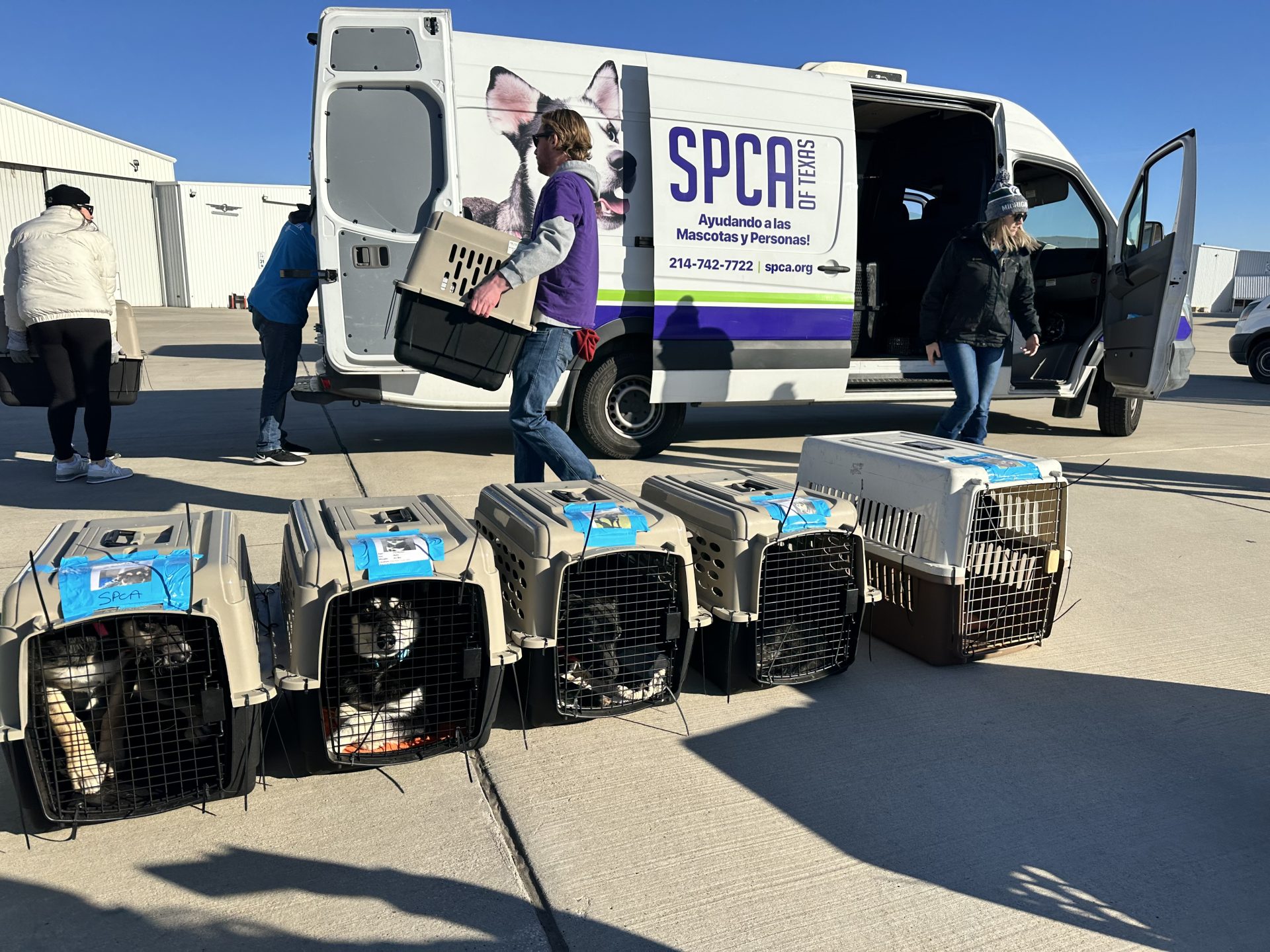SPCA of Texas | The leading animal welfare agency in North Texas