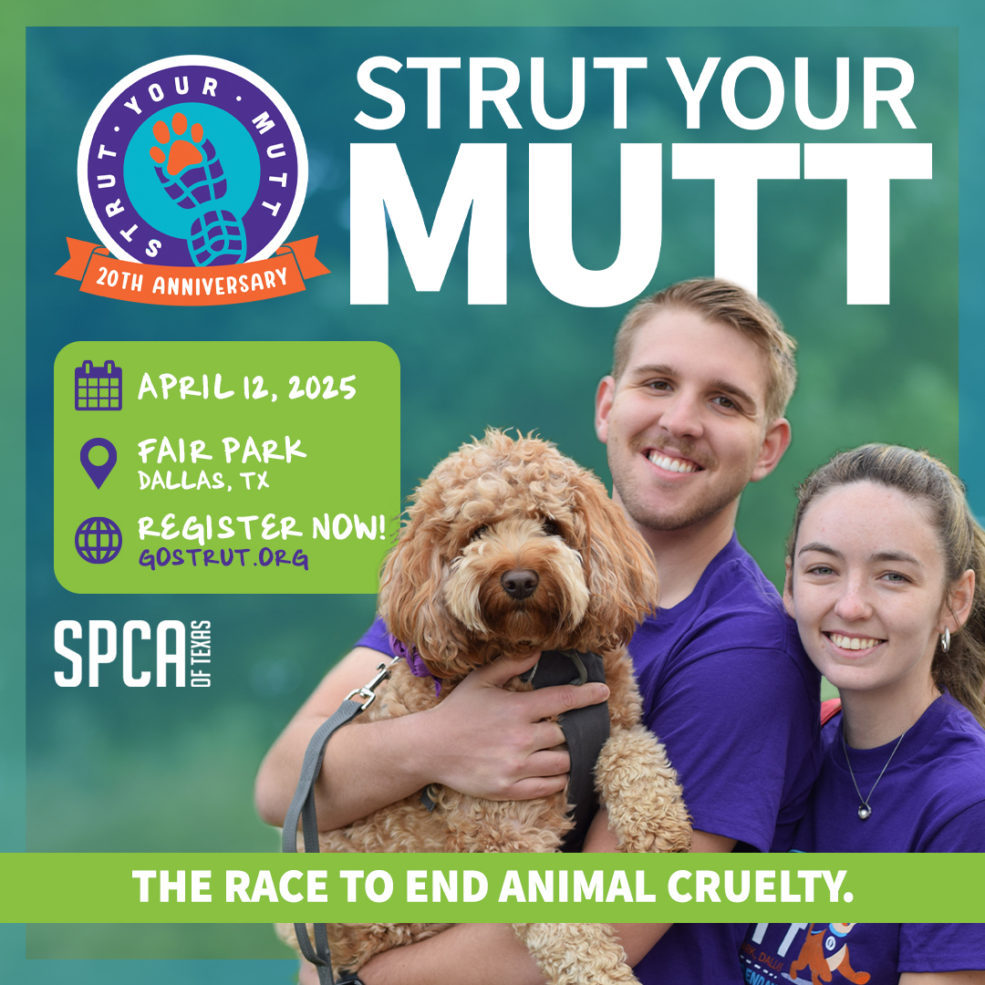 SPCA of Texas | SPCA Of Texas Celebrates 20th Anniversary of “Strut ...