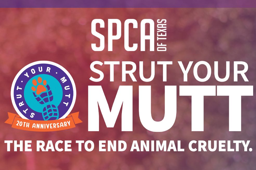 SPCA of Texas | SPCA Of Texas Celebrates 20th Anniversary of “Strut ...