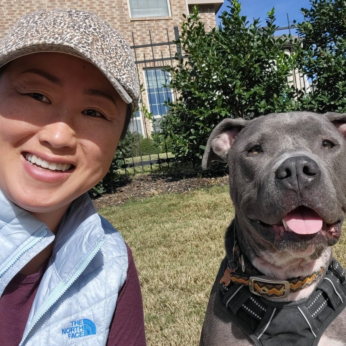 SPCA of Texas | Find a Pet - SPCA of Texas