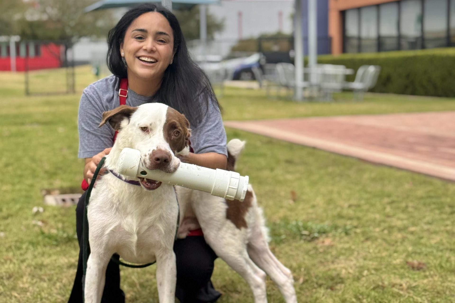 SPCA of Texas | November Volunteer of the Month Embodies SPCA of Texas ...