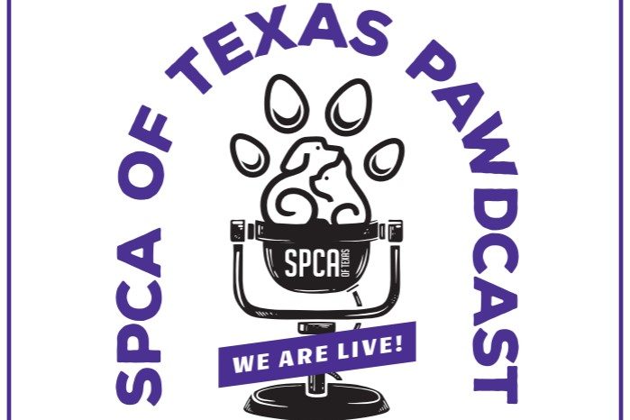 SPCA of Texas | Paws and Purpose: The SPCA of Texas PAWdcast #2 ...