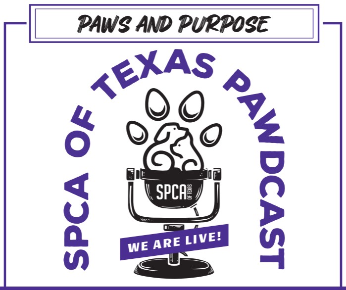 SPCA of Texas | Paws and Purpose: The SPCA of Texas PAWdcast #3 ...