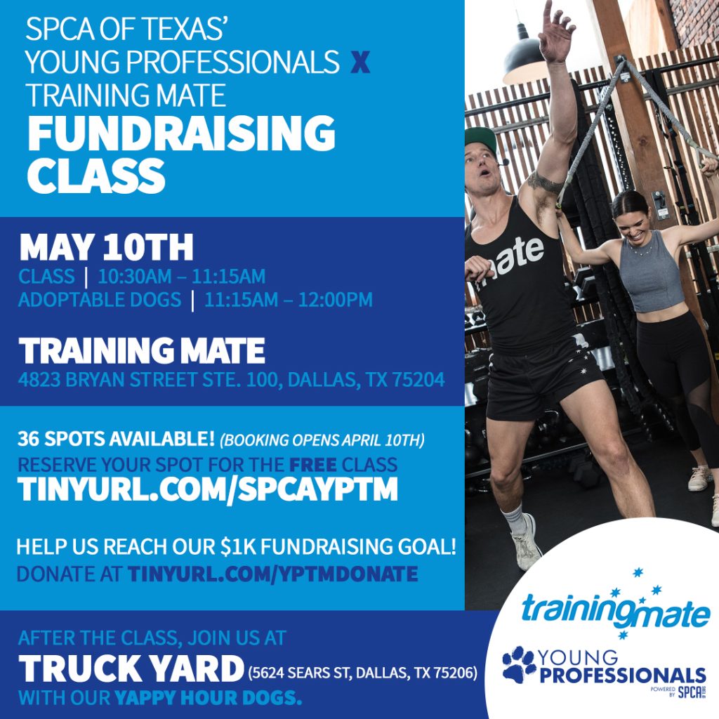 SPCA of Texas | SPCA of Texas Young Professionals x Training Mate ...