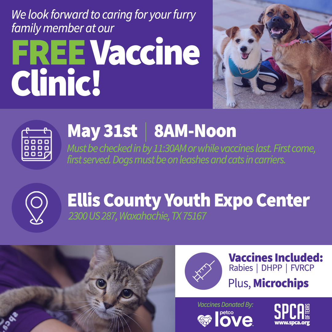 SPCA of Texas | SPCA of Texas Reaffirms Commitment to Ellis County ...