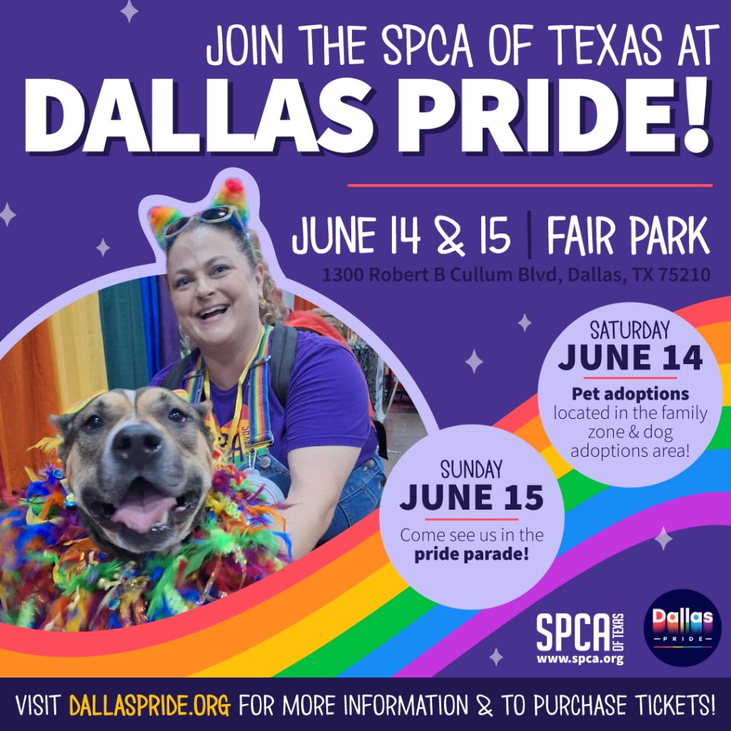 SPCA of Texas | Dallas PRIDE 2025 - SPCA of Texas